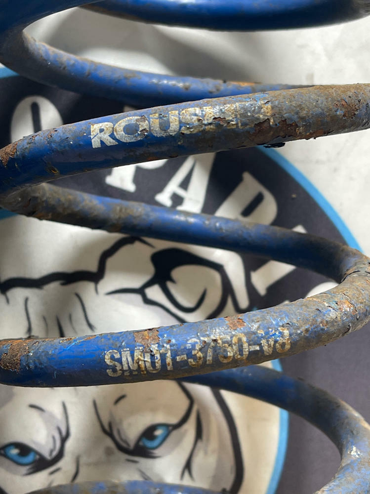 1999-04 Ford Mustang GT 4.6 Roush Lowering Springs Full Set 189 – Blu ...